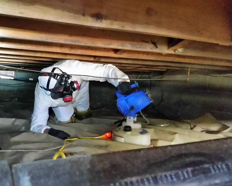 Will Your Exterior Building Walls Promote Mold Growth? - MEP ...